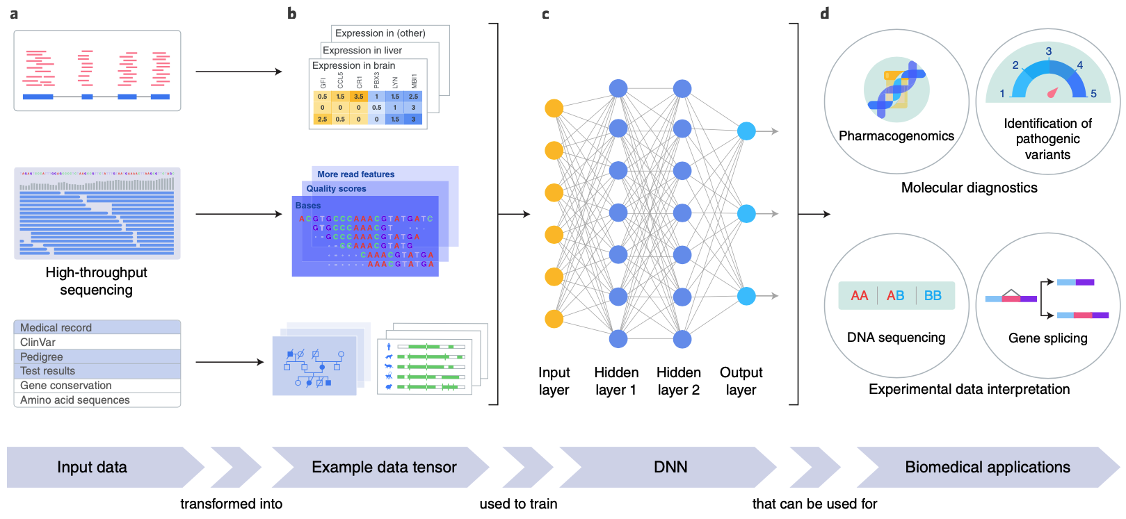 의료분야에서의 인공지능 | 인포리언스